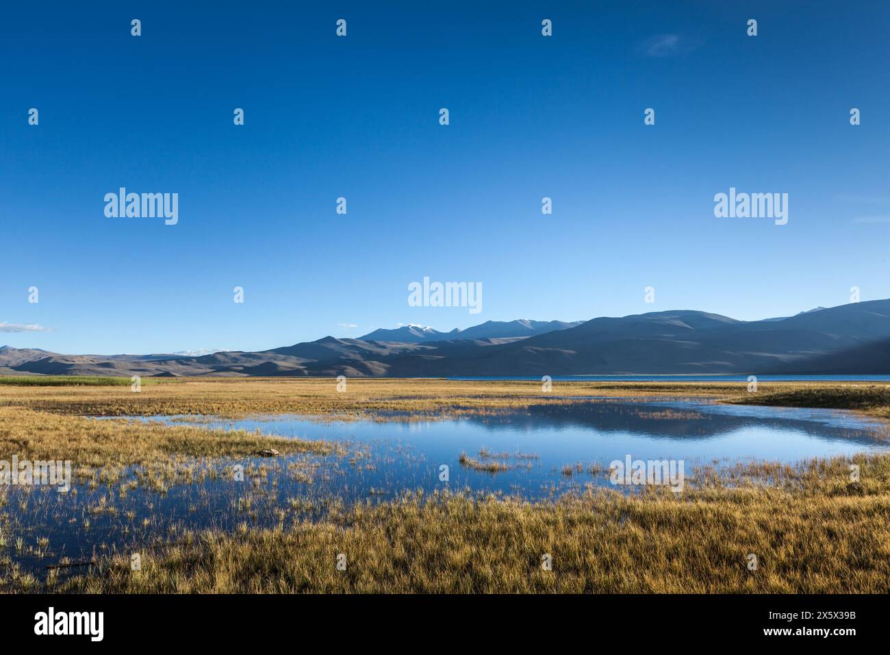 Tso Moriri lake in Himalayas, Ladakh, India Stock Photo - Alamy