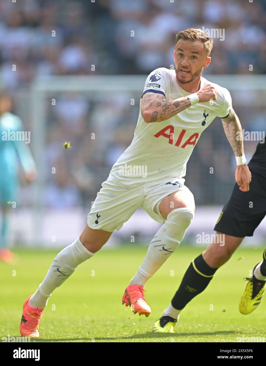 James maddison football match hi-res stock photography and images - Alamy