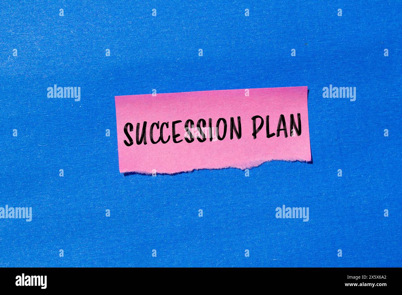 Succession plan words written on ripped pink paper with blue background ...