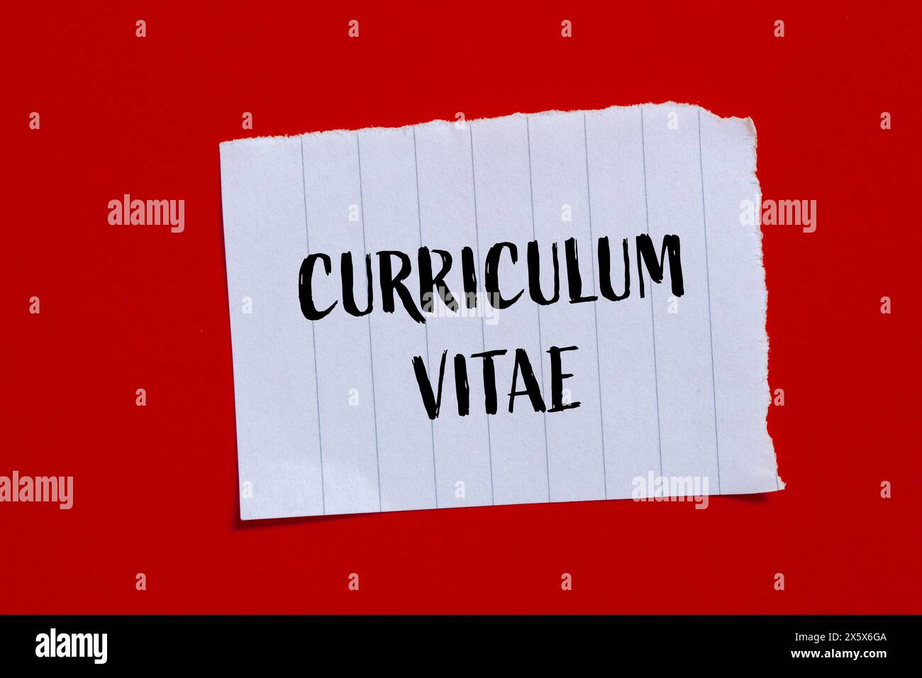 Curriculum vitae words written on ripped paper with red background ...