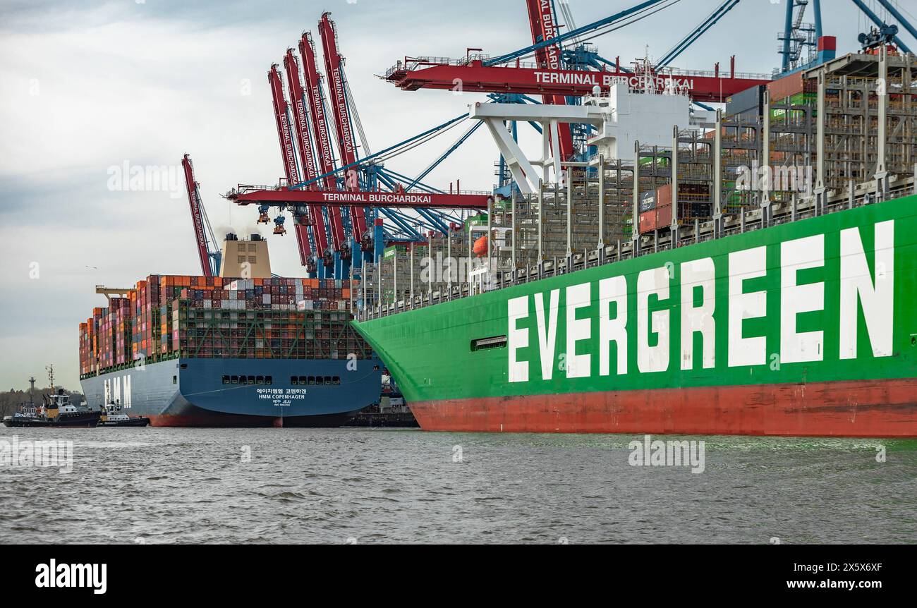 Containerschiff Containerschiffe HMM und Evergreen im Hafen von Hamburg ...