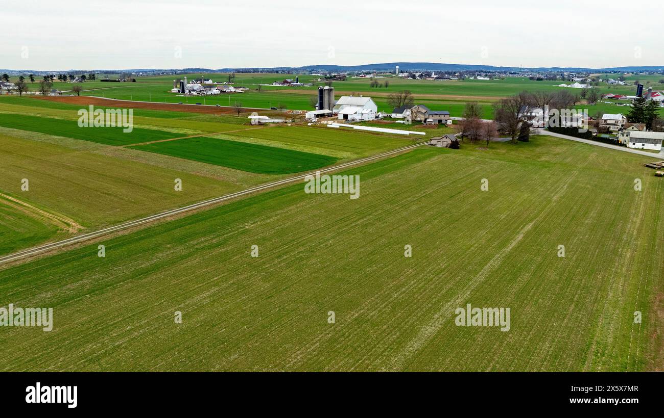 Dawn breaks over a peaceful farmland, highlighting the vibrant greens ...