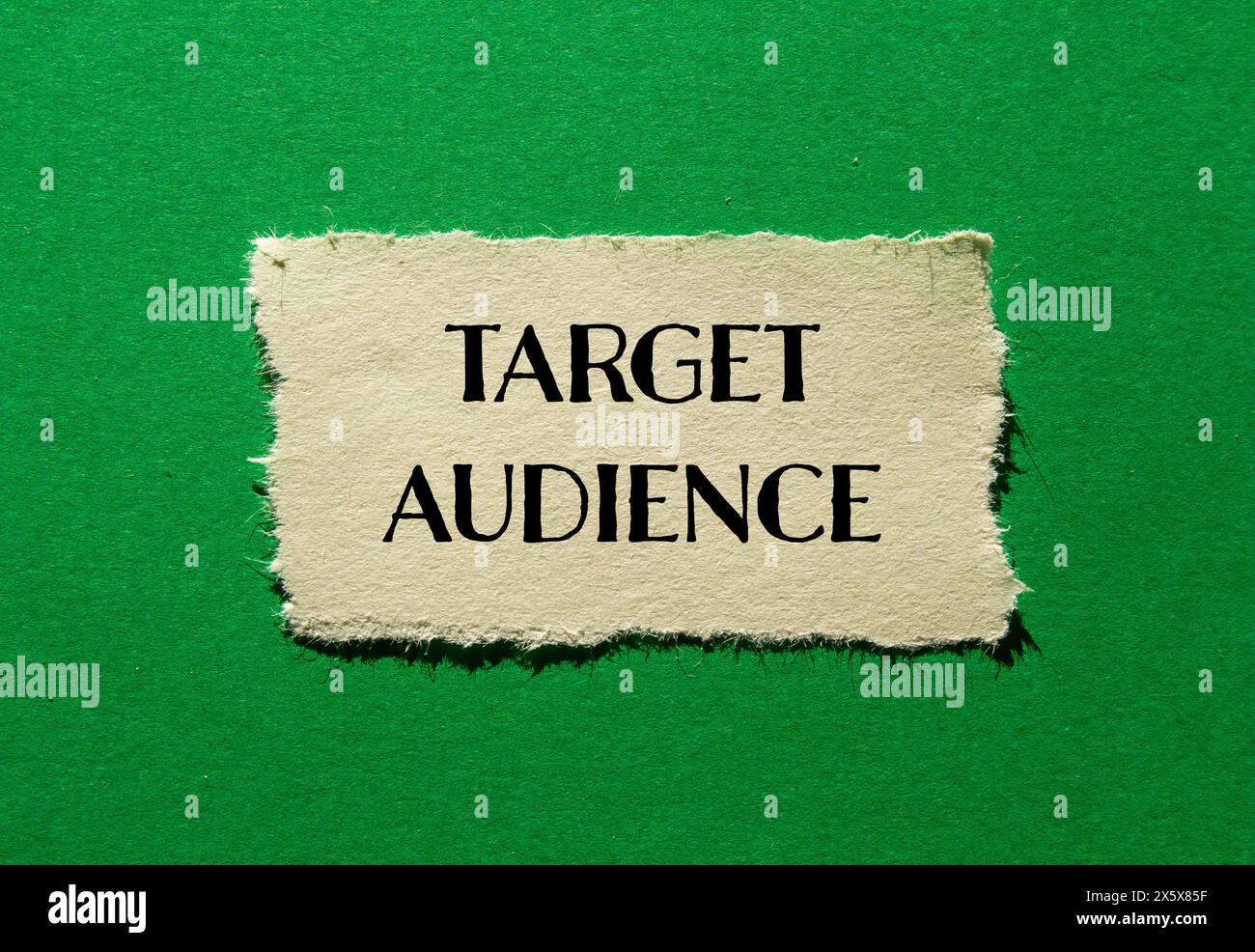 Target audience words written on ripped paper with green background ...