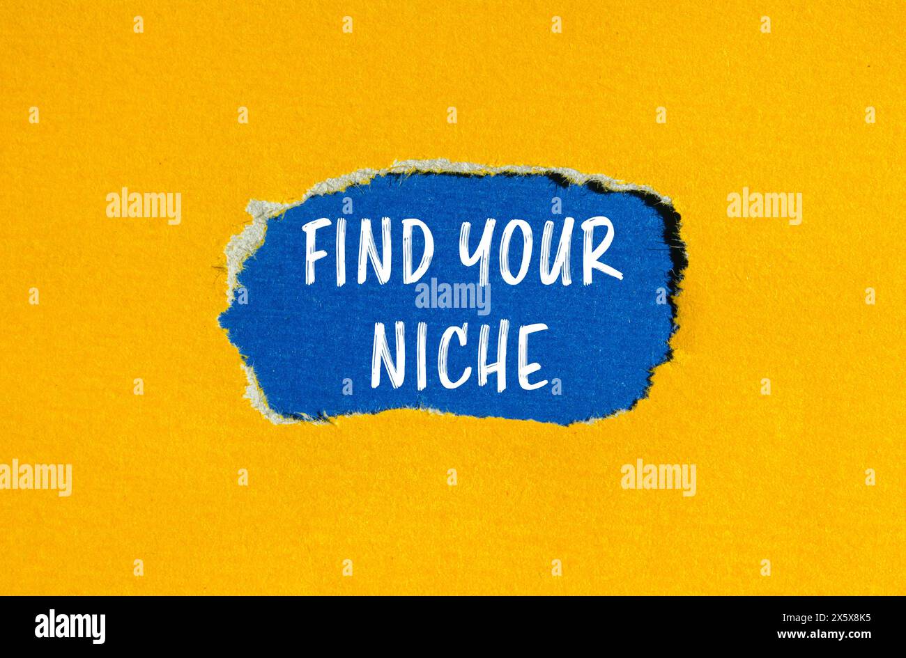 Find your niche words written on ripped yellow paper with blue ...