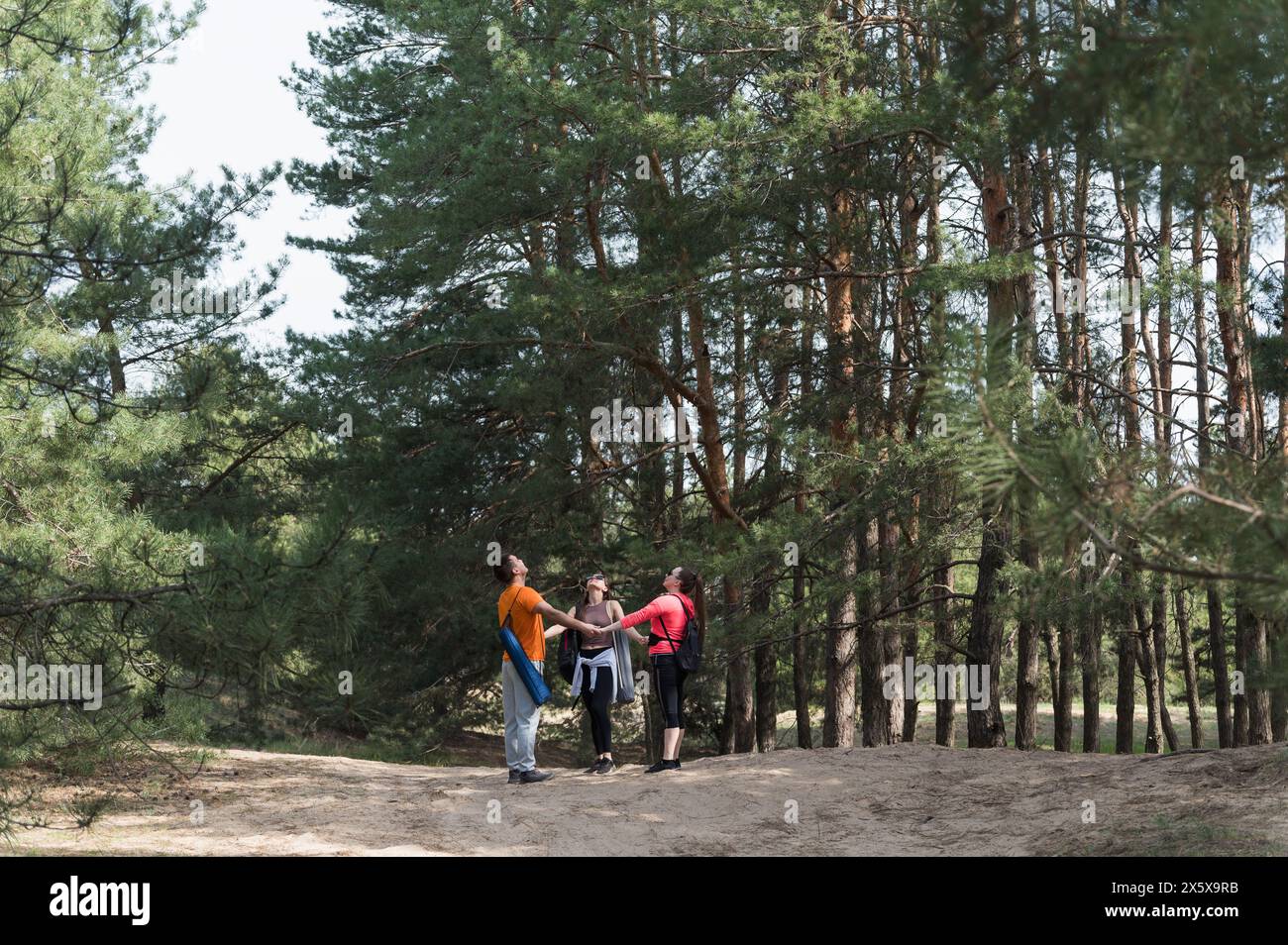 Three friends stand in a circle holding hands in a forest clearing ...
