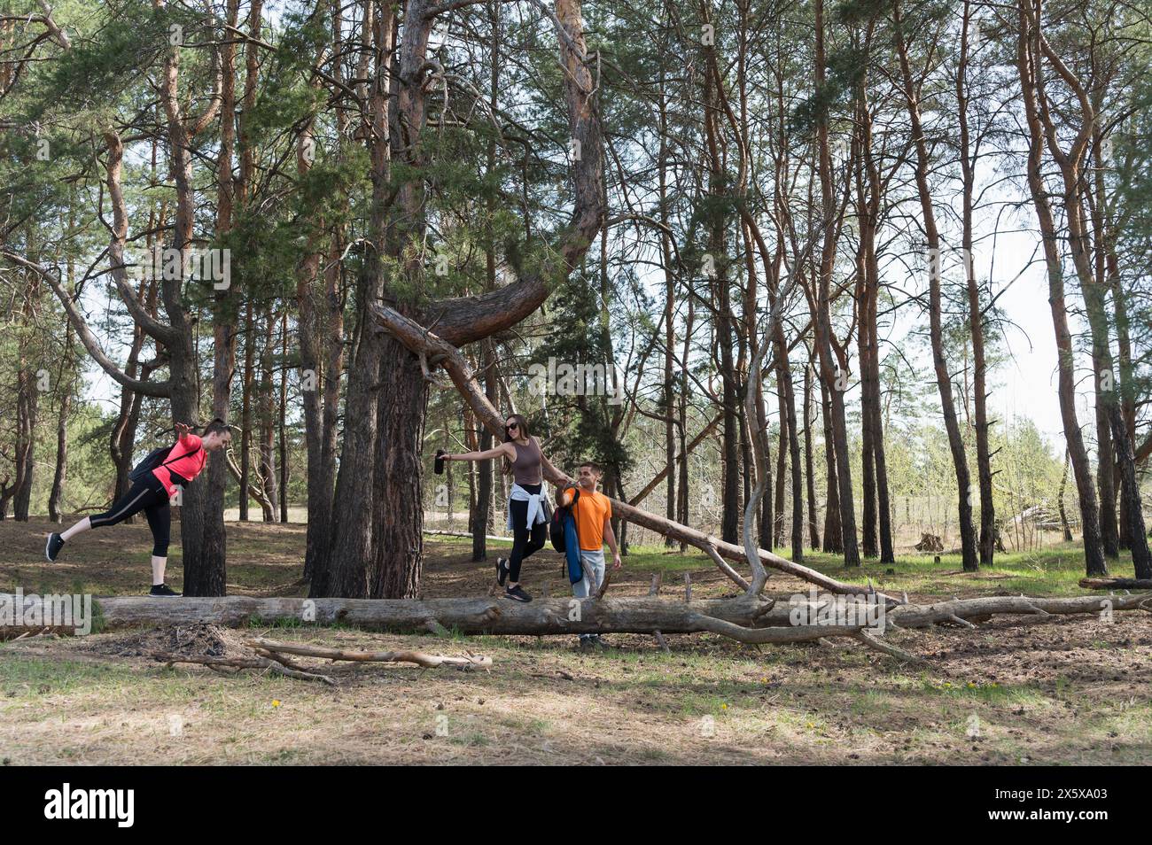 Friends on a walk in the forest. Girls balance on a fallen log in a ...