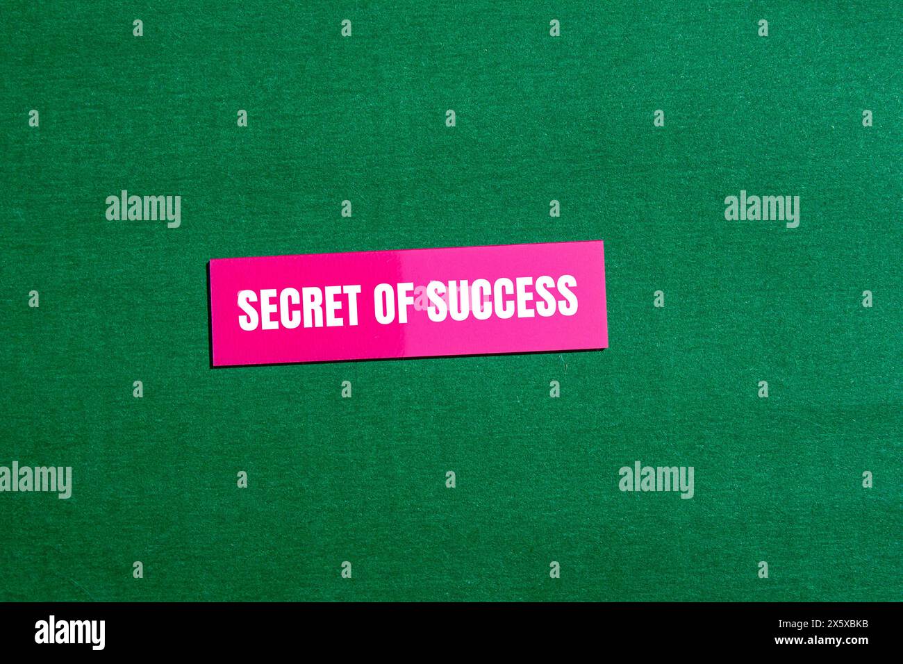 Secret of success words written on pink paper sticker with green ...