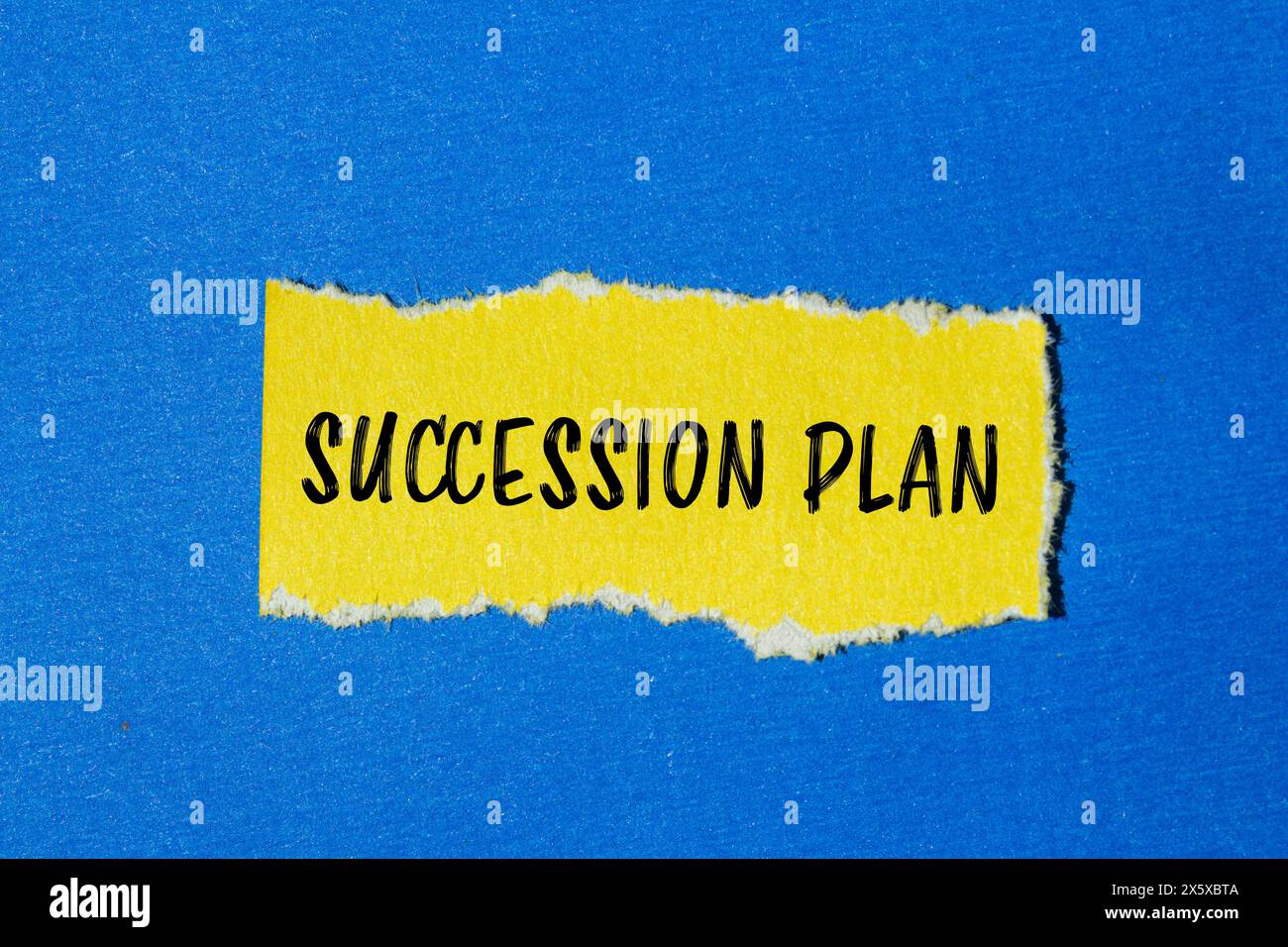 Succession plan words written on ripped yellow paper with blue ...