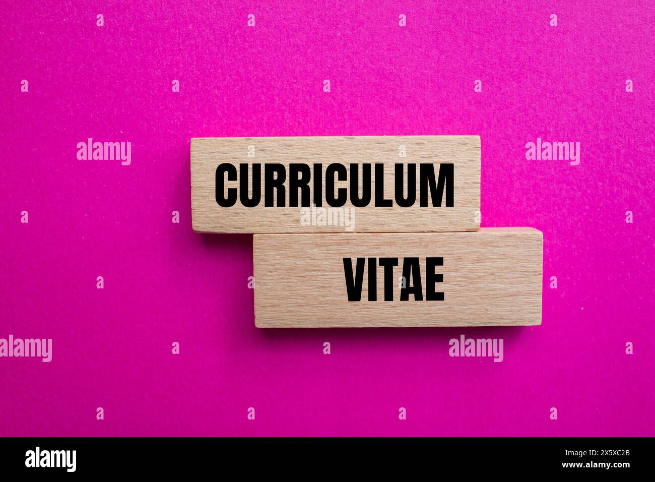Curriculum vitae words written on wooden blocks with pink background ...
