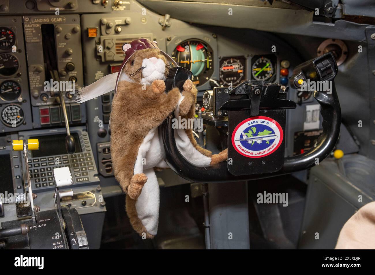 Orville, NASA’s high-flying squirrel, tries his paw at piloting the DC ...