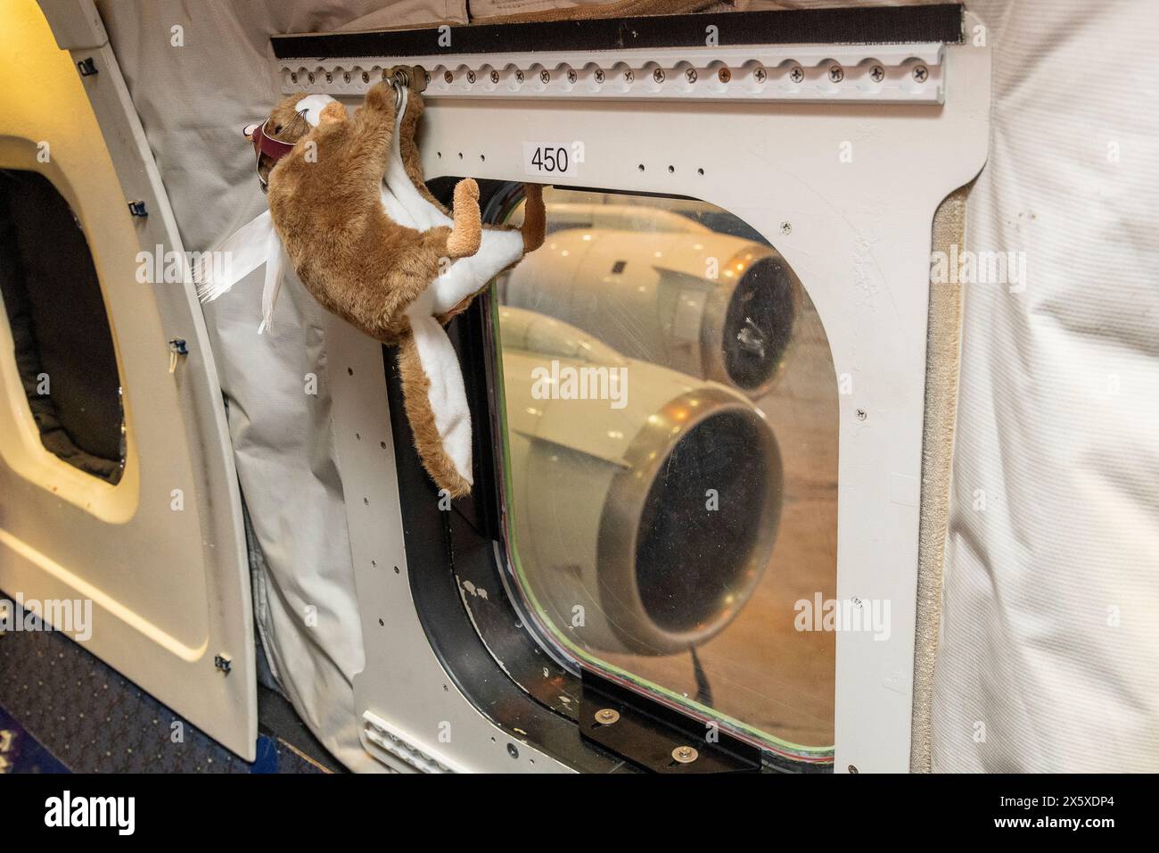 Orville, NASA’s high-flying squirrel, hangs onto the DC-8 aircraft at ...