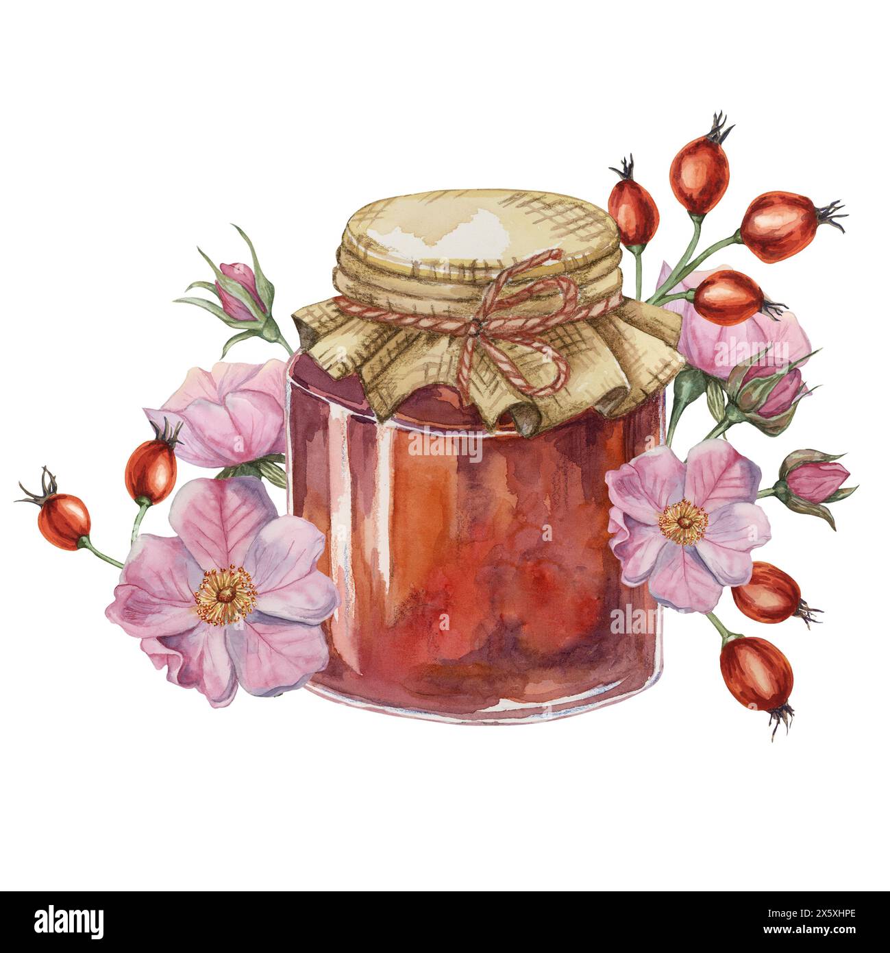 Rose hip jam in glass jar with canvas burlap fabric lid and twine rope ...