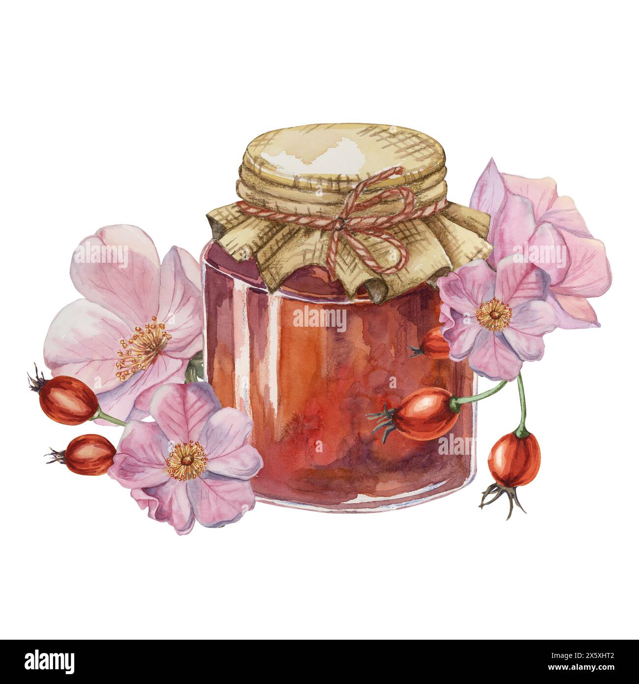 Rose hip jam in glass jar with canvas burlap fabric lid, bow and rose ...
