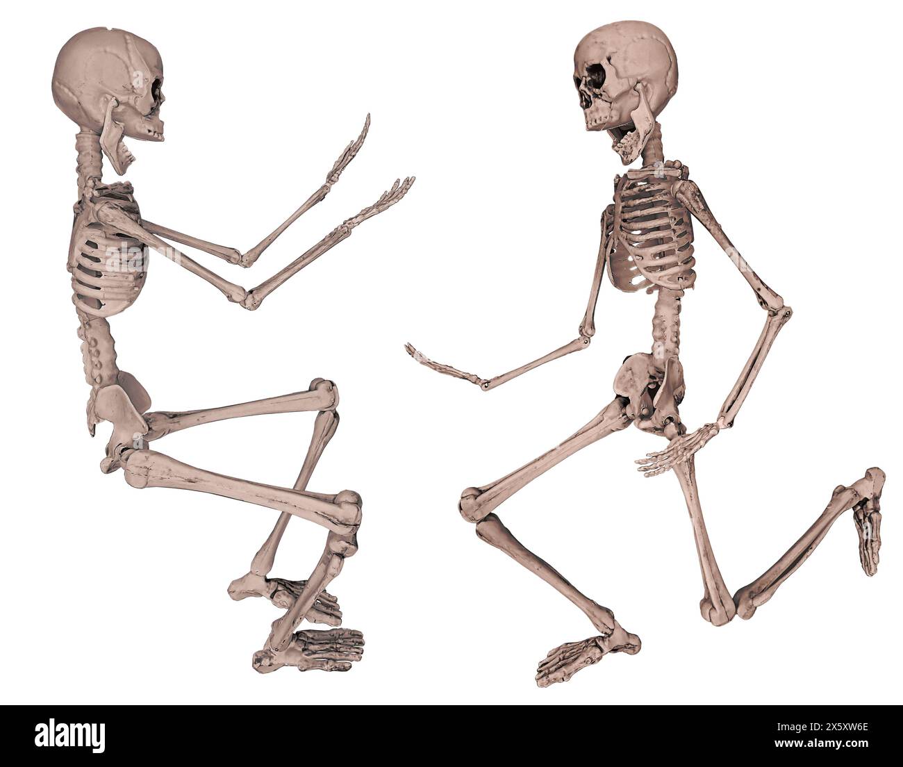 Dancing skeleton Cut Out Stock Images & Pictures - Alamy