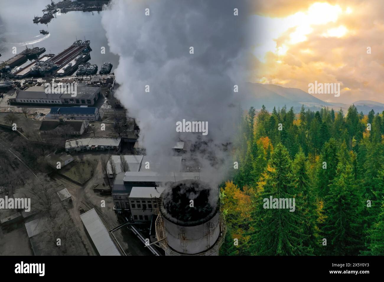 Environmental pollution. Collage divided with smoke into dense forest ...