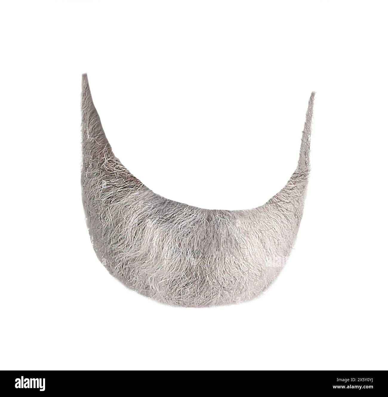 Man long gray beard hair Cut Out Stock Images & Pictures - Alamy