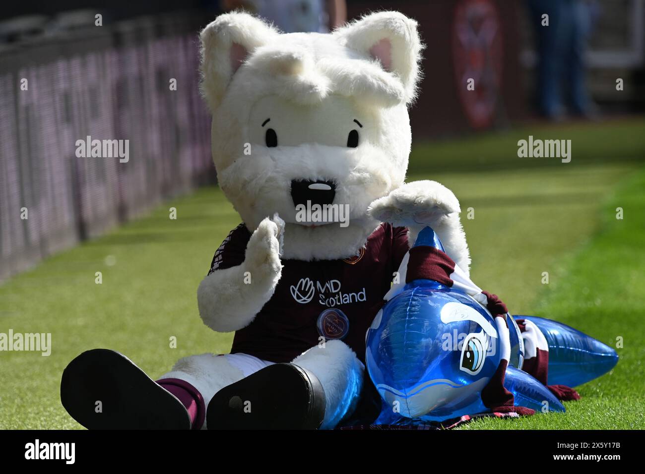 Jock the jambo mascot hi-res stock photography and images - Alamy
