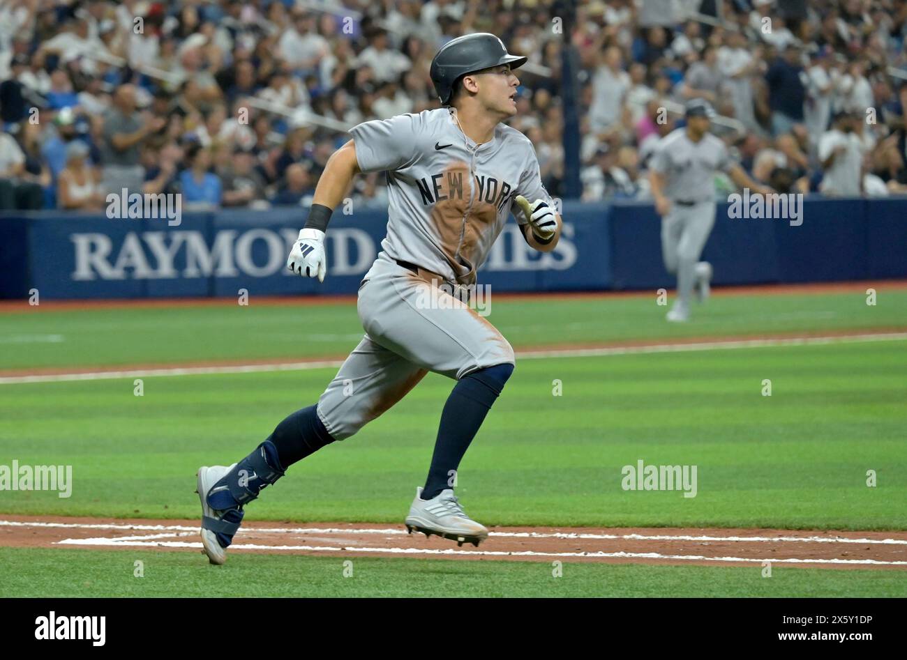 St. Petersburg, United States. 11th May, 2024. New York Yankees ...