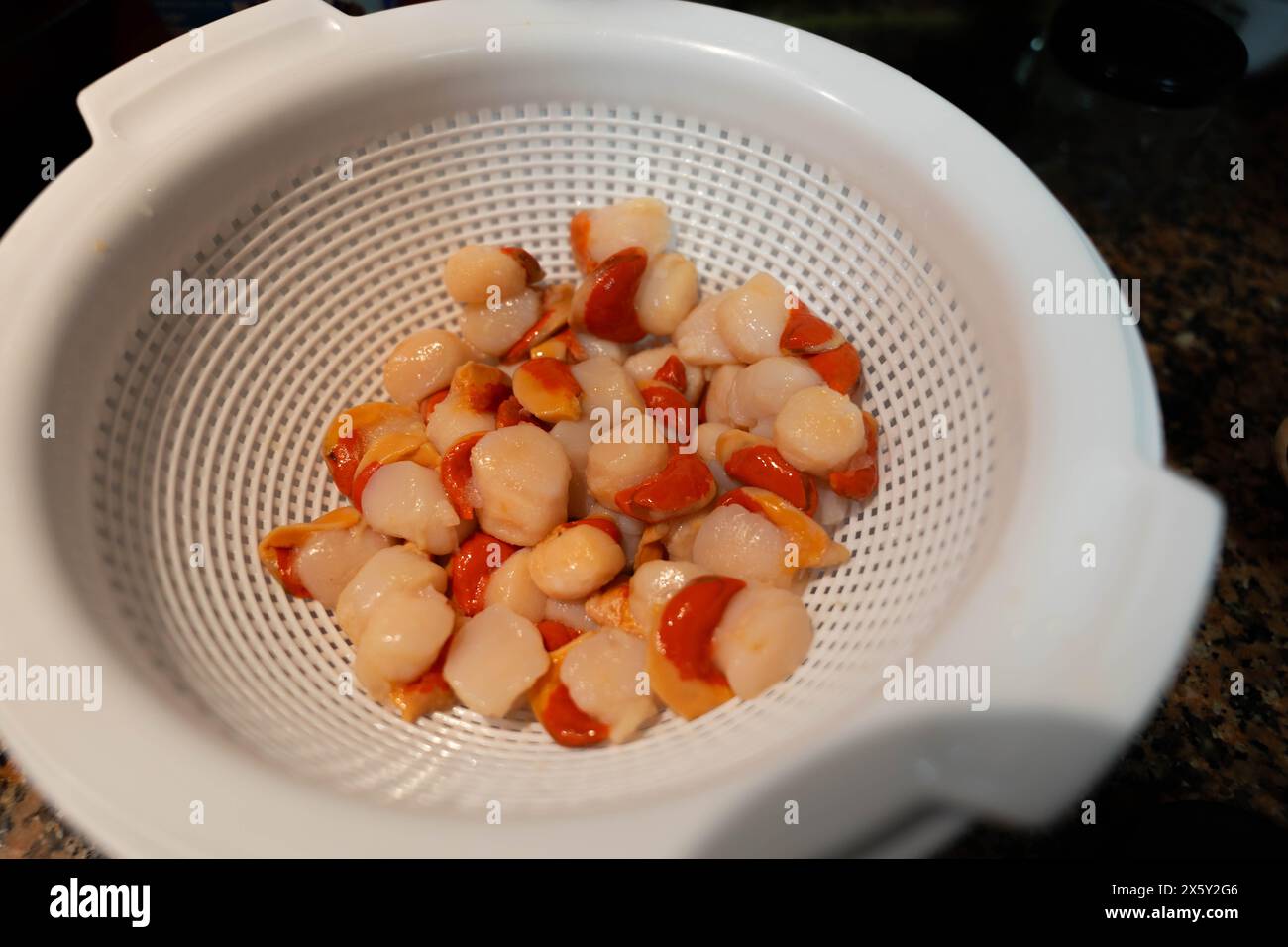 Scallop rich hi-res stock photography and images - Alamy