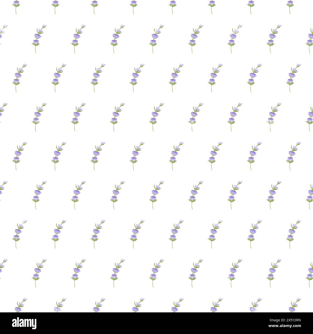 A sprig of lavender. Purple flower. Seamless pattern. Vector ...