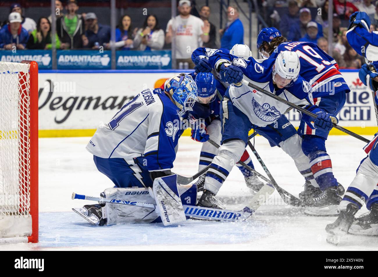 May 10th, 2024: Syracuse Crunch goaltender Brandon Halverson (31) makes ...