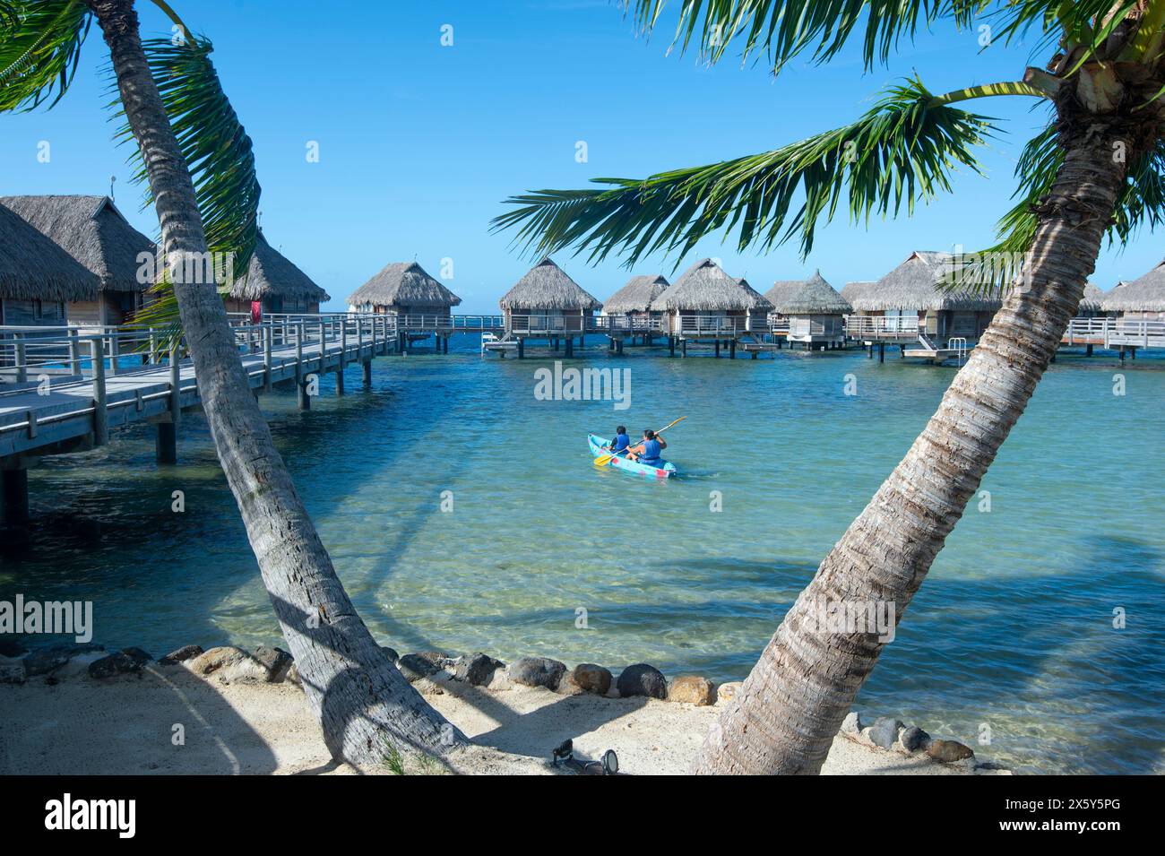 People kayaking on the lagoon, Manava Beach Resort, Moorea, Society ...