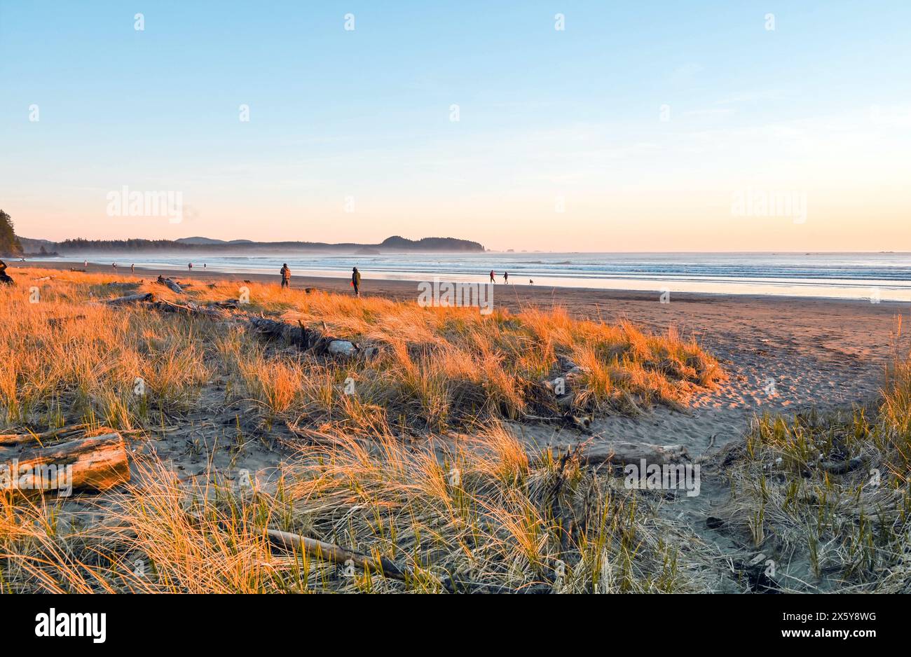 Evening walk on the beach, Washington coast Stock Photo - Alamy