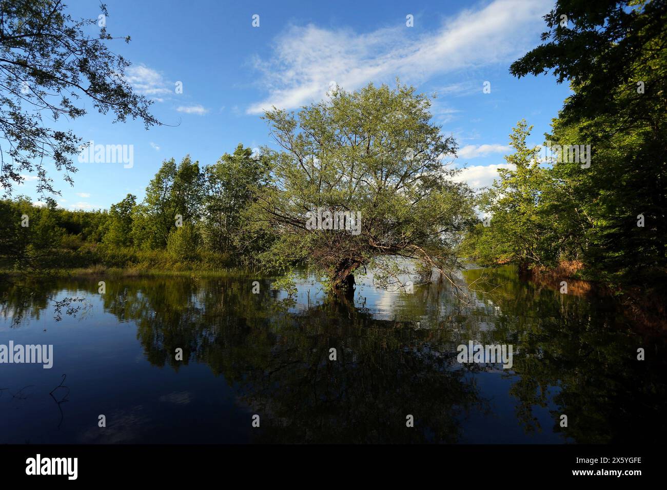 Lake Plastiras, located in the wider area of Agrafa (region of Thessaly ...