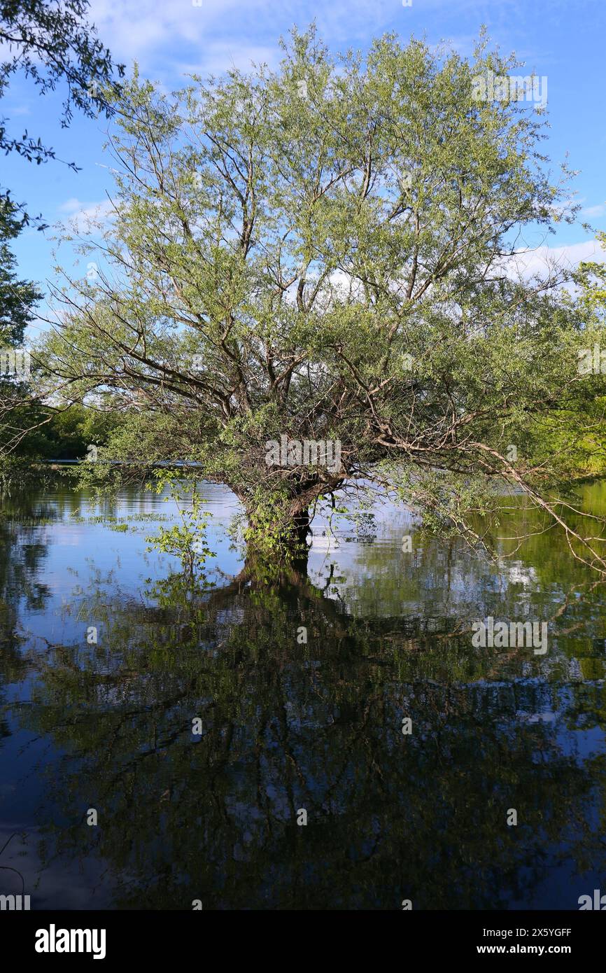 Lake Plastiras, located in the wider area of Agrafa (region of Thessaly ...
