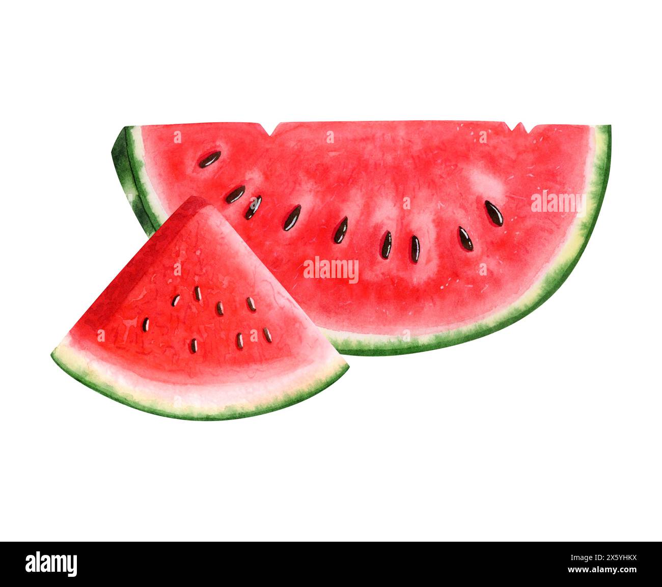 Watercolor watermelon slices of triangle and half round shape with ...