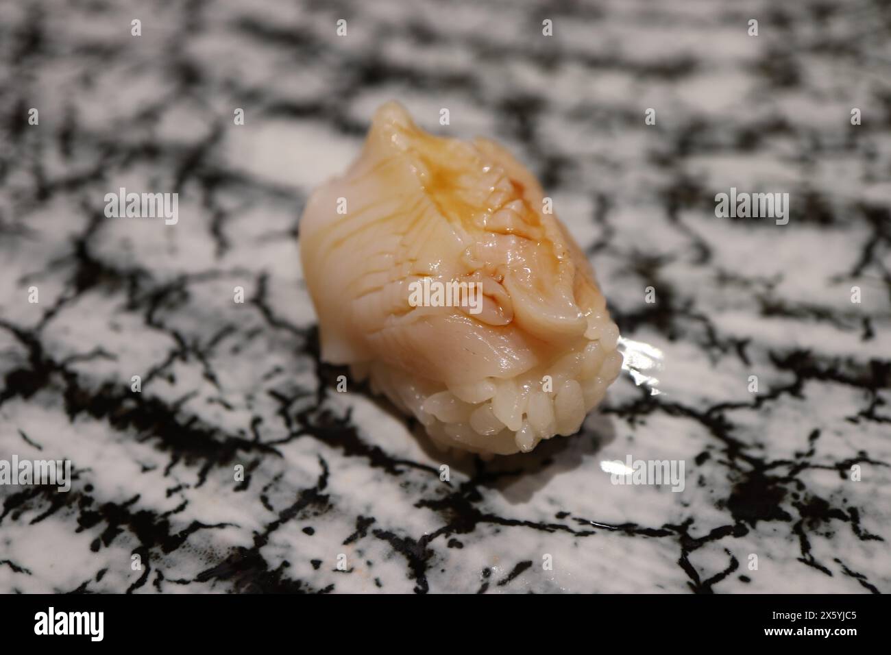 Japanese ivory shell hi-res stock photography and images - Alamy