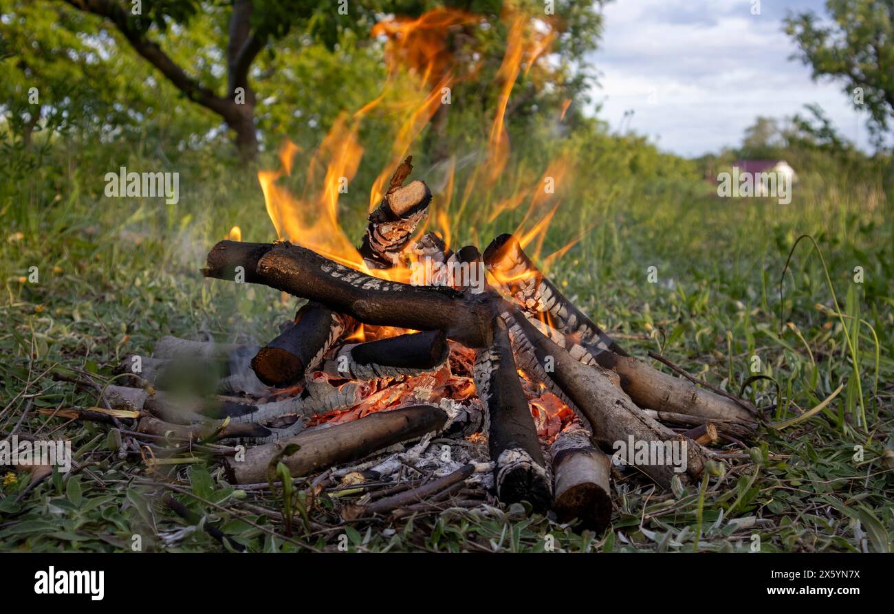 A vibrant campfire burning with flames and wood logs outdoors Stock ...