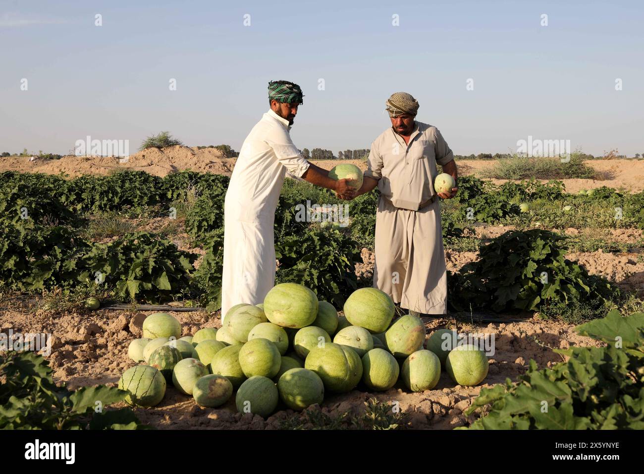 May 2024 farm hi-res stock photography and images - Alamy