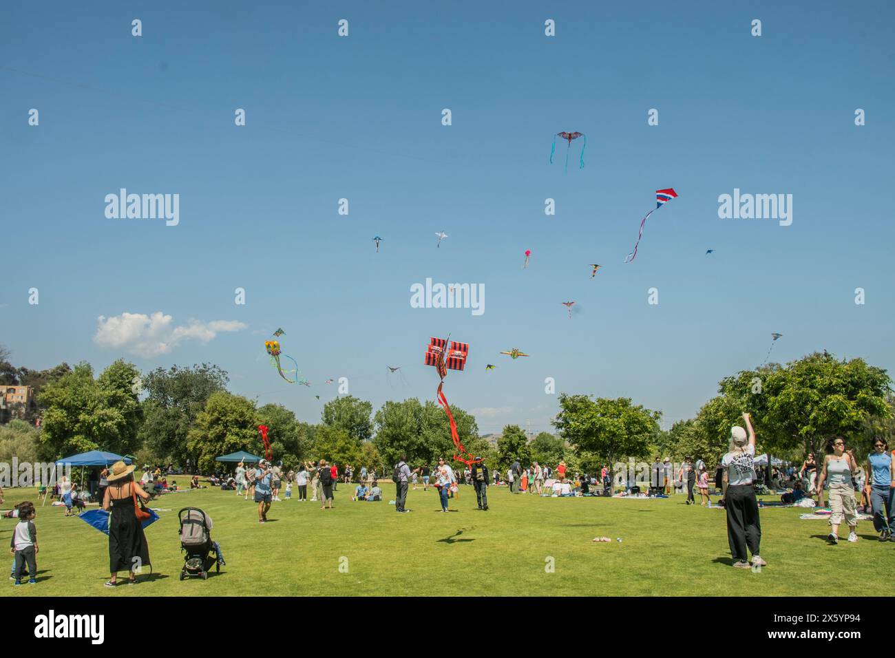 This year’s festival will celebrate multicultural kite traditions at ...