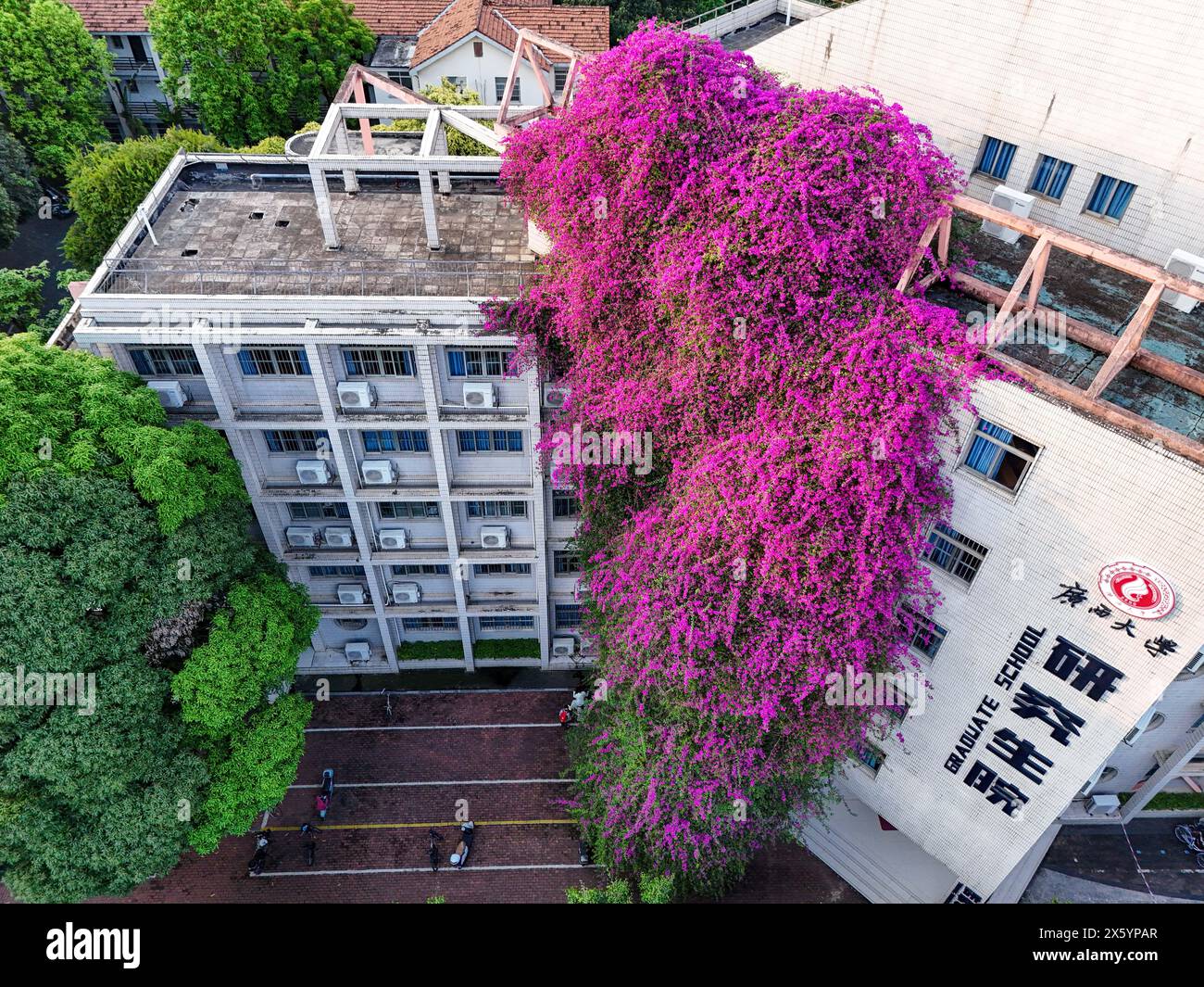 11 meter tall hi-res stock photography and images - Alamy