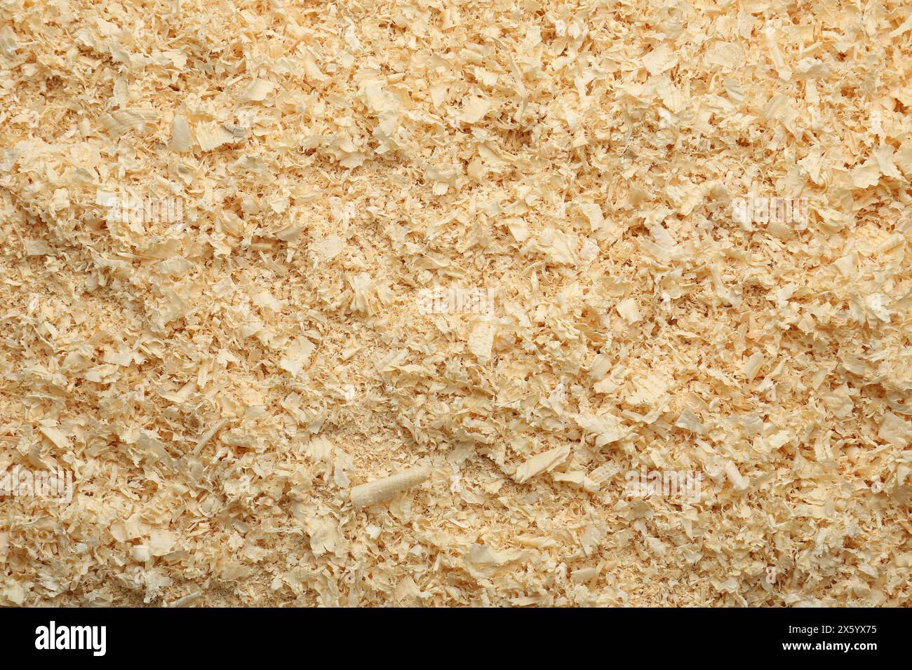 Dry natural sawdust as background, top view Stock Photo - Alamy