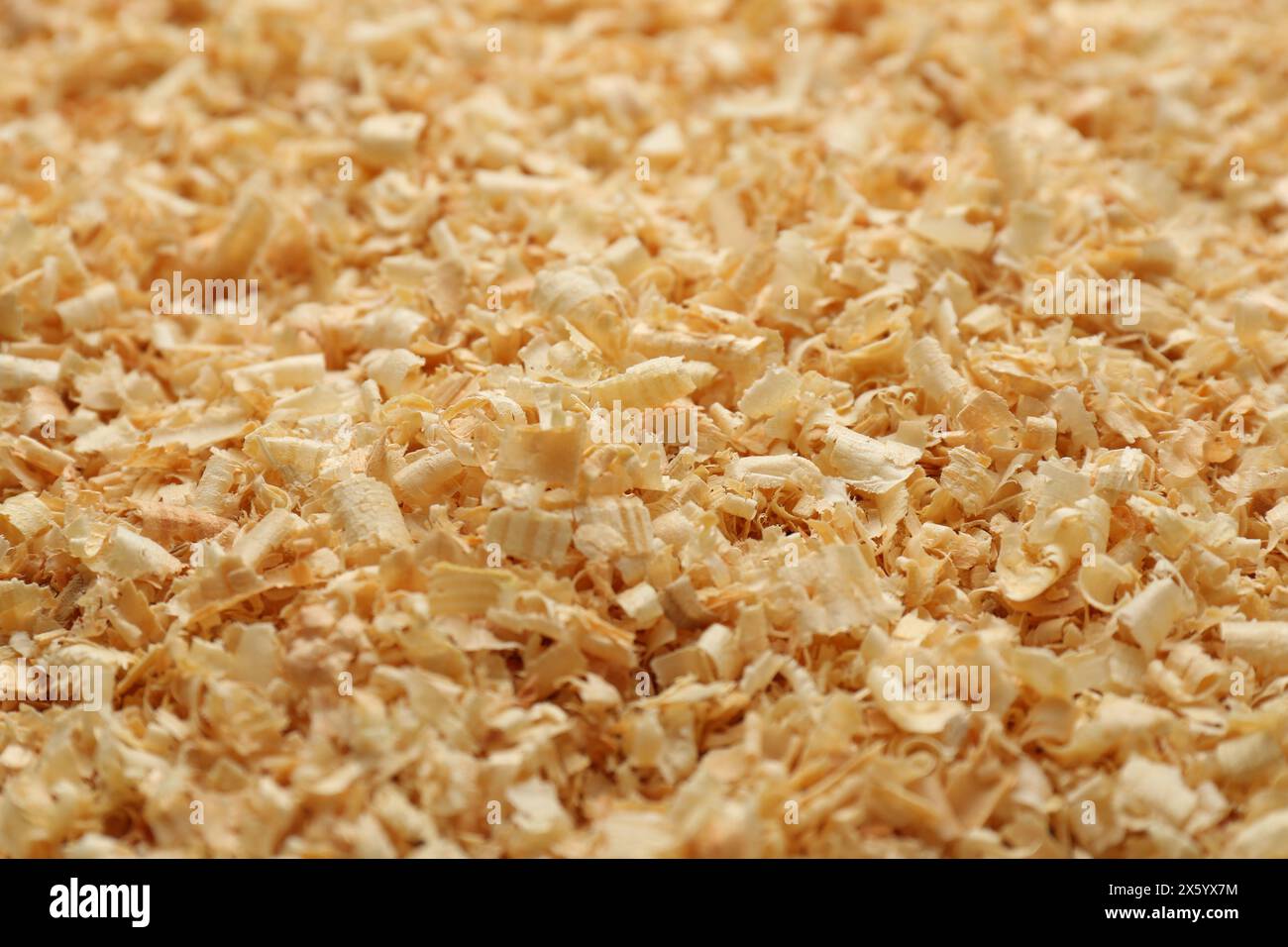 Dry natural sawdust as background, closeup view Stock Photo - Alamy