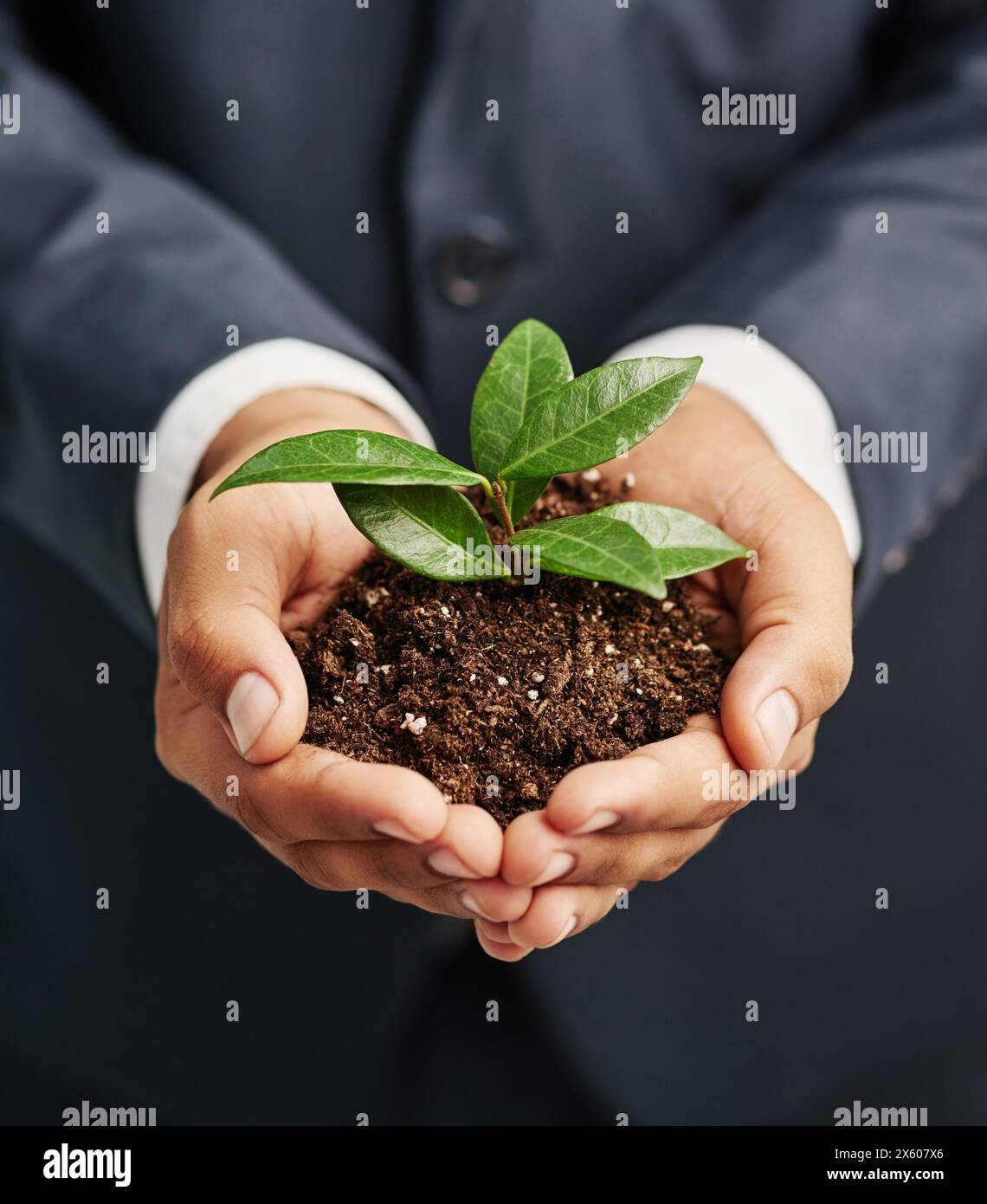 Hands, plant and soil for business, suit and future of agency ...
