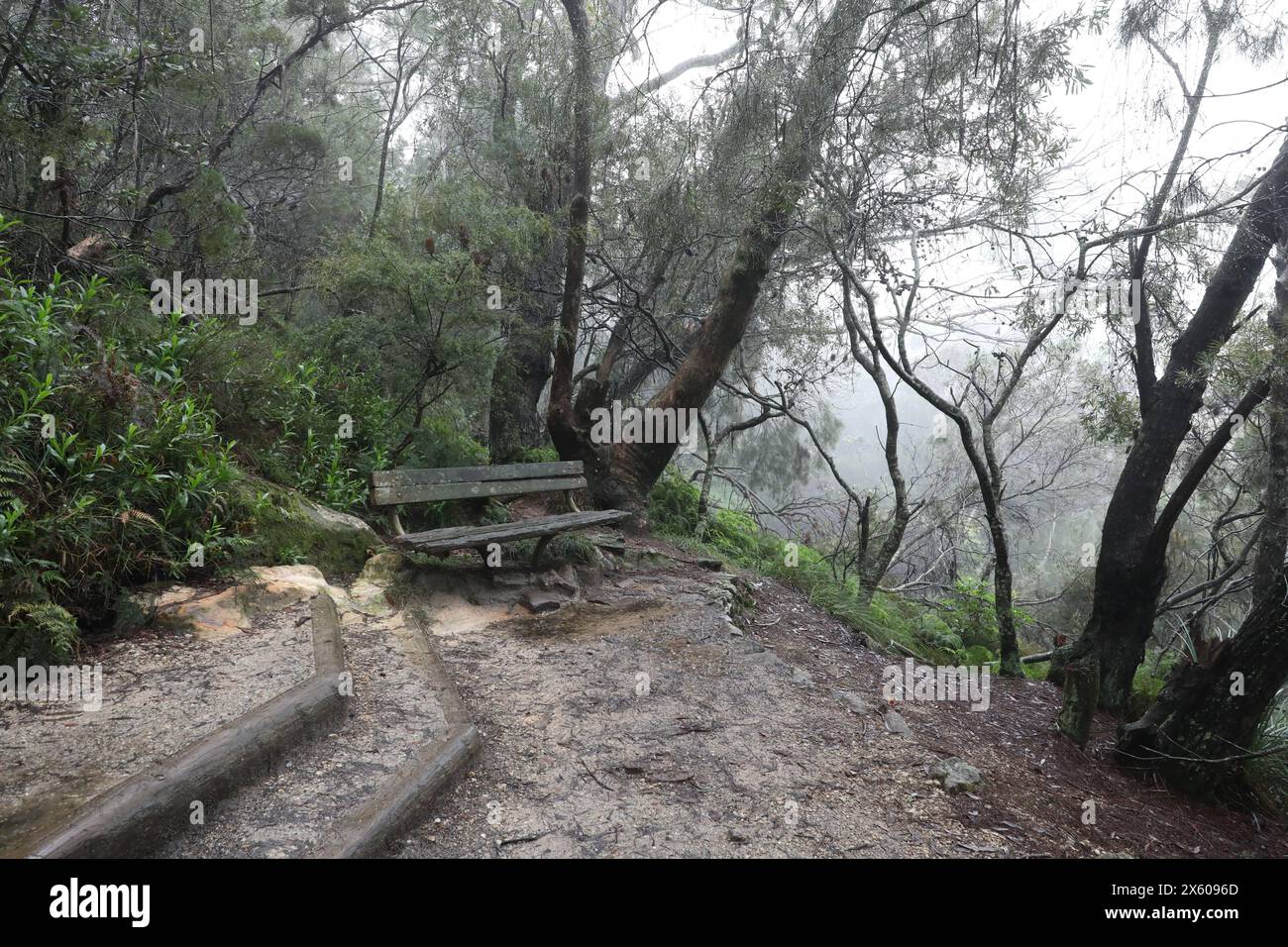 Wentworth Falls Track, part of the Grand Cliff Top Walk in the Blue ...