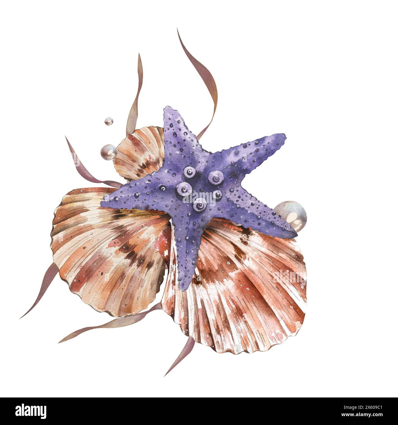 Watercolor Composition. Marine Theme. Starfish with Shells and Algae ...