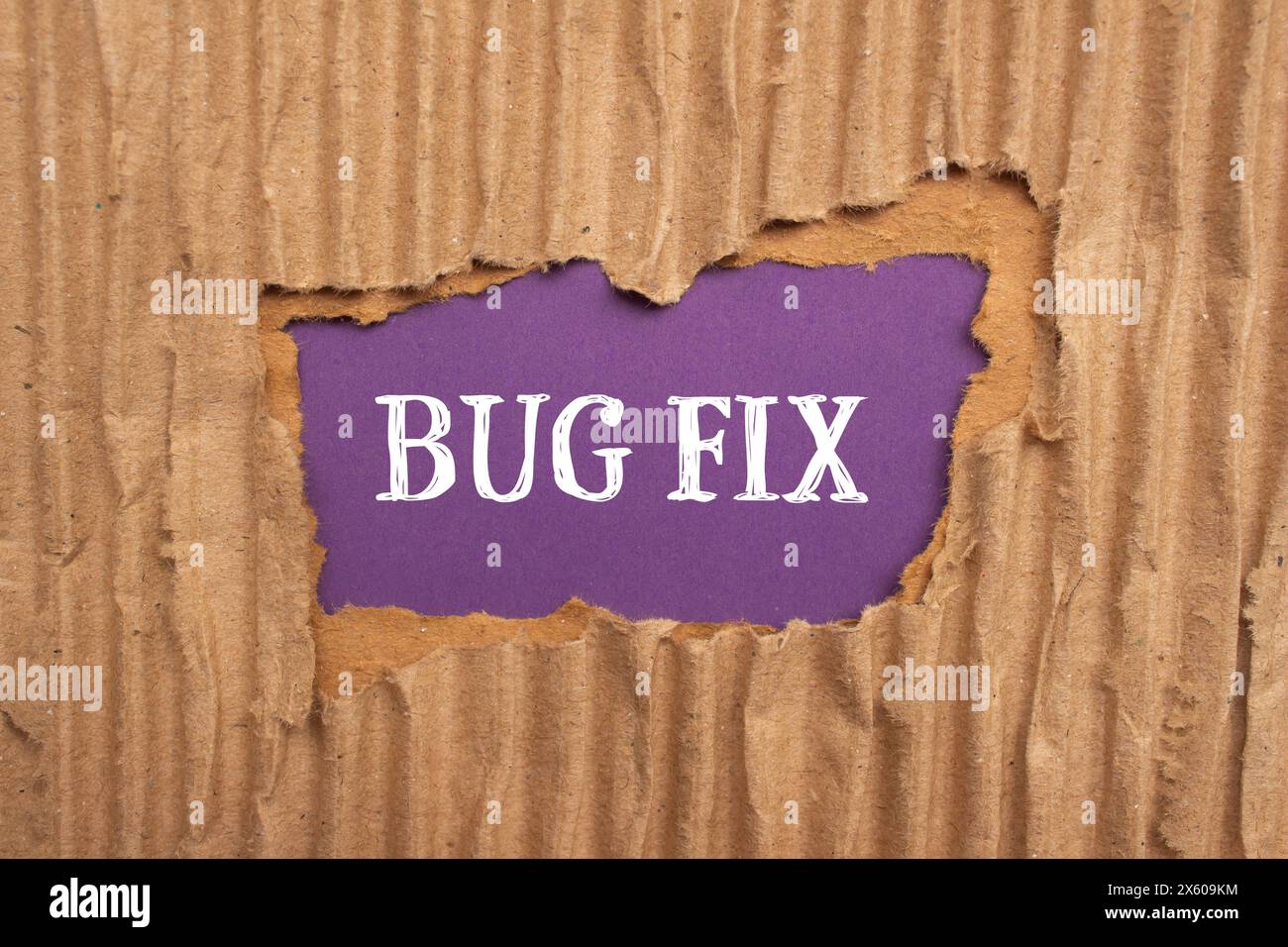 Bug fix words written on ripped cardboard paper with purple background ...