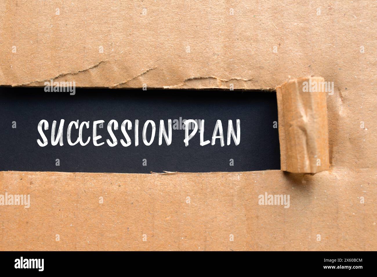 Succession plan words written on ripped cardboard paper with black ...