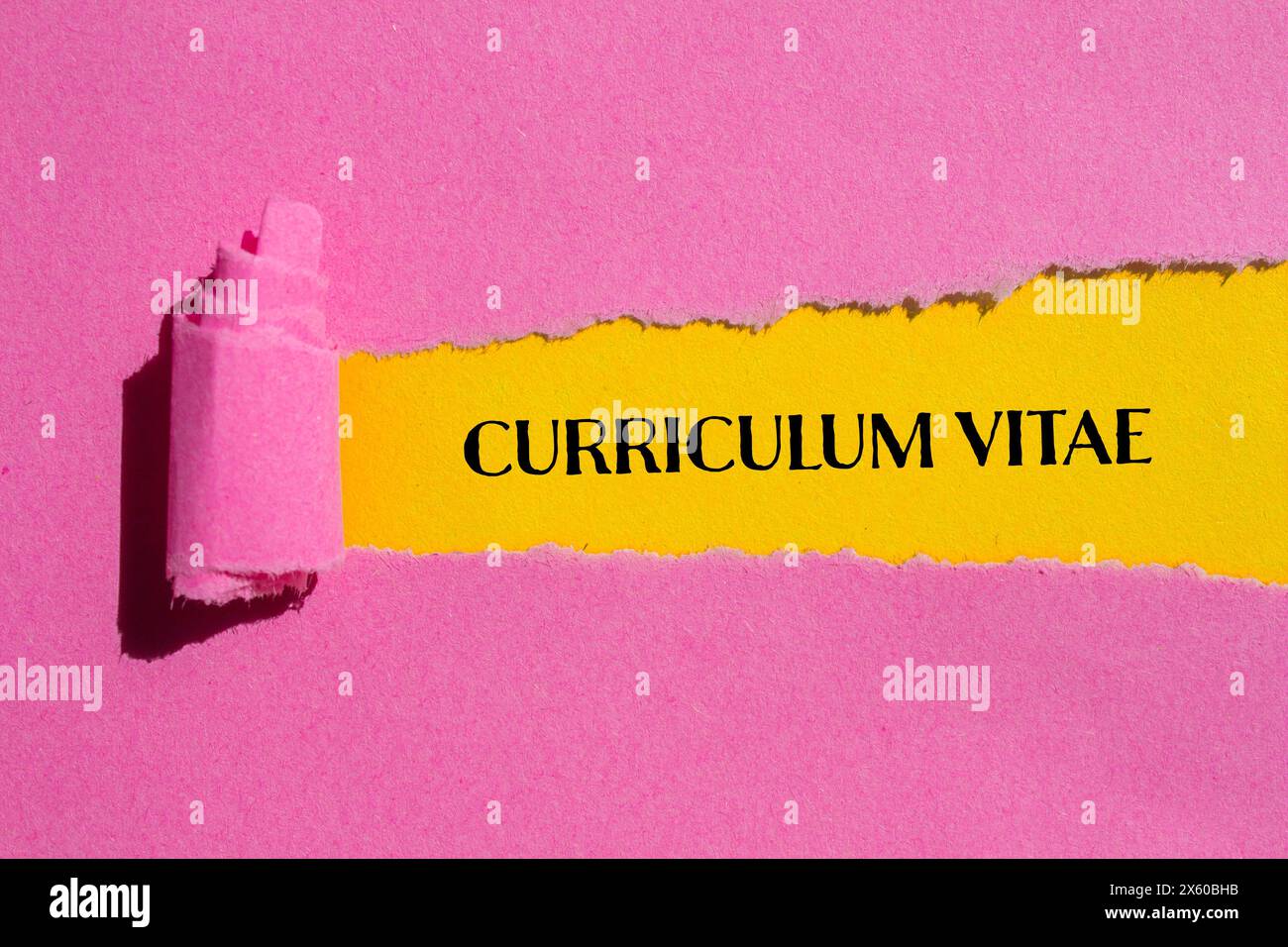 Curriculum vitae words written on ripped pink paper with yellow ...
