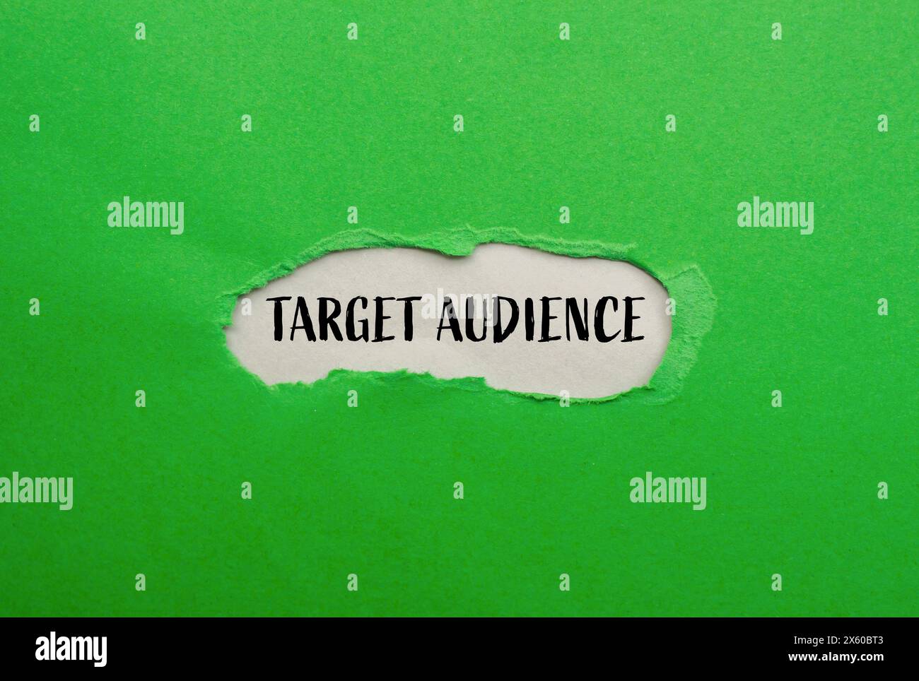 Target audience words written on ripped green paper with gray ...