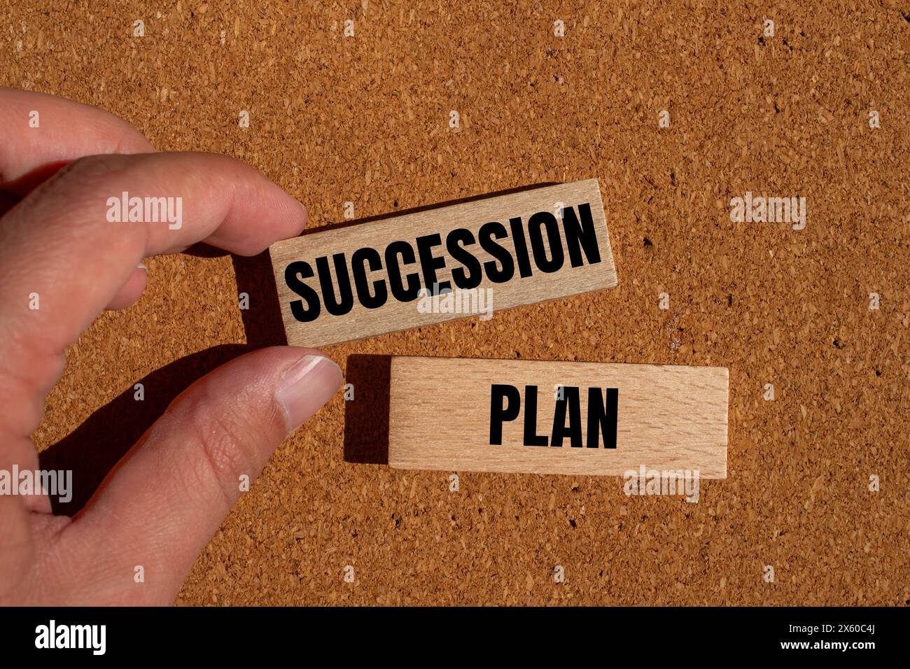 Succession plan written on wooden blocks with brown background ...