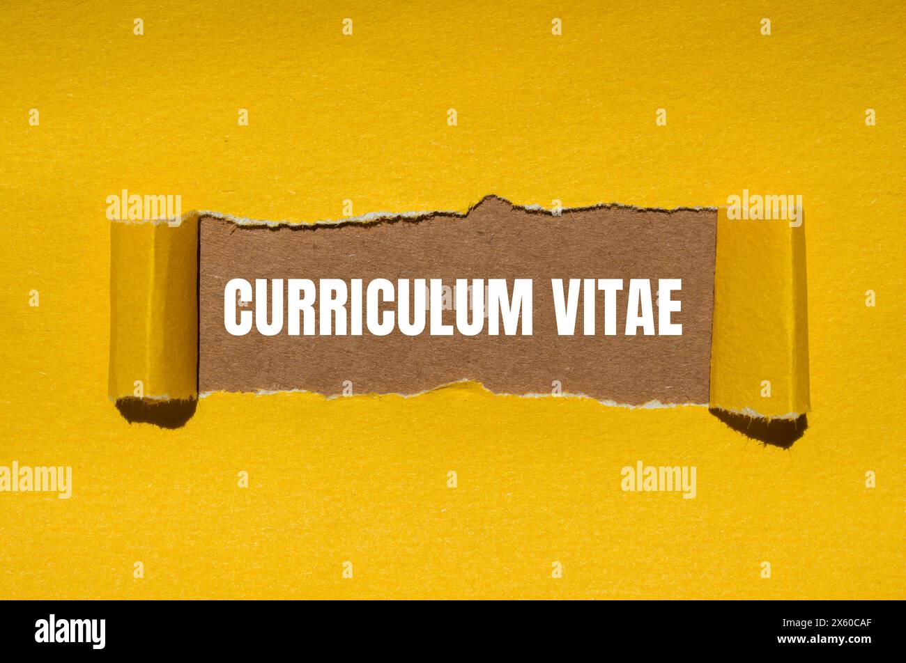 Curriculum vitae words written on ripped yellow paper with brown ...