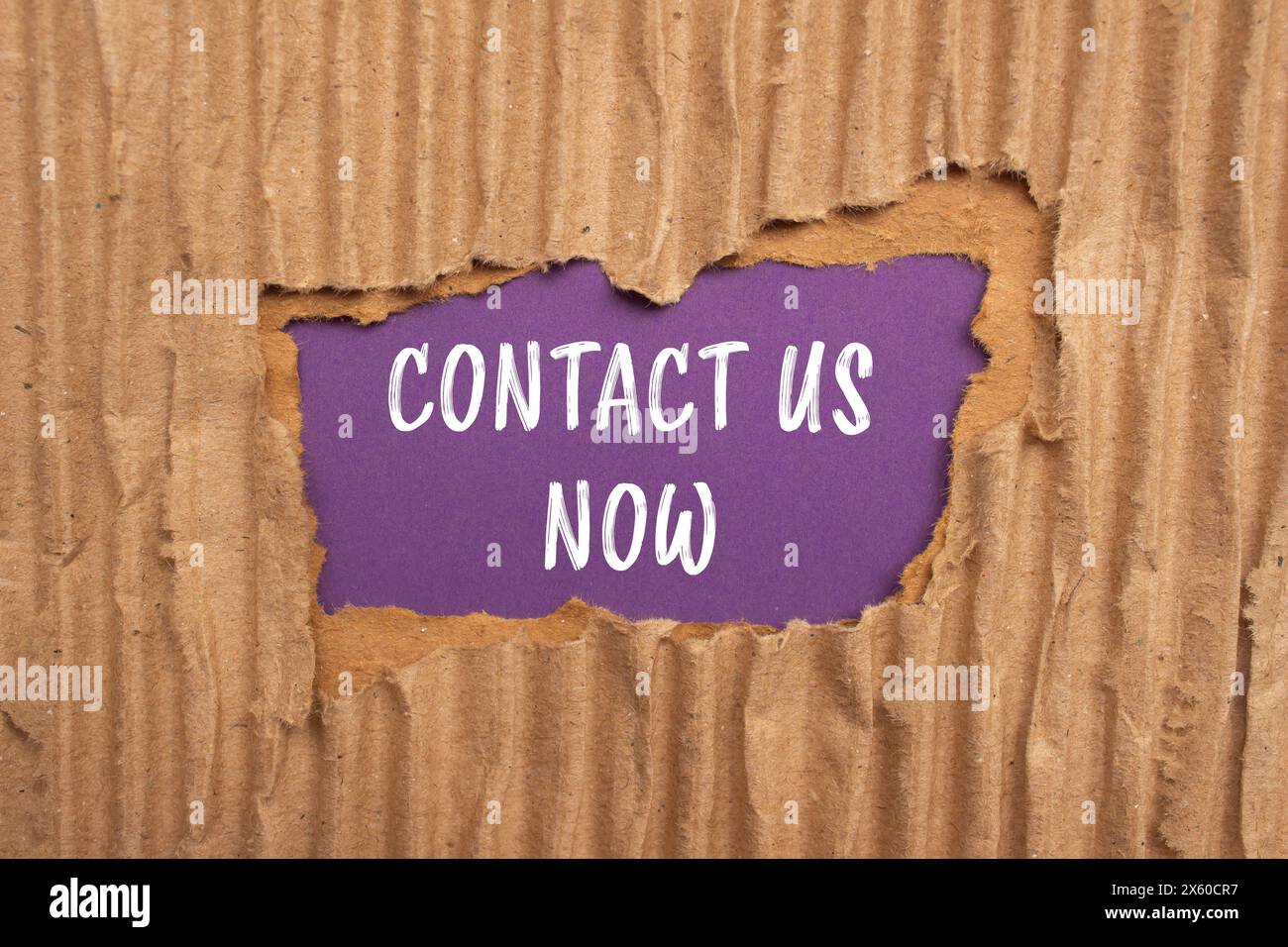 Contact us now words written on ripped cardboard paper with purple ...