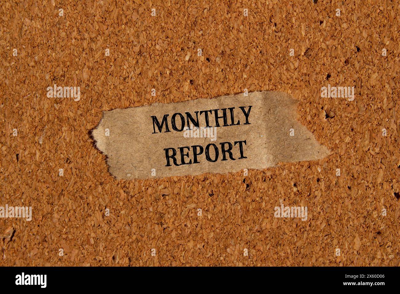Monthly report words written on ripped paper piece with brown ...