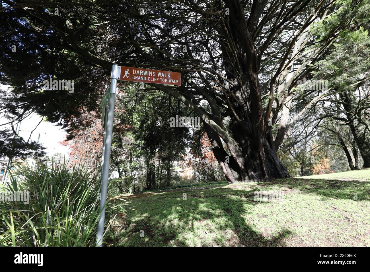 Start of Darwins Walk (part of the Grand Cliff Top Walk) in Wilson Park ...