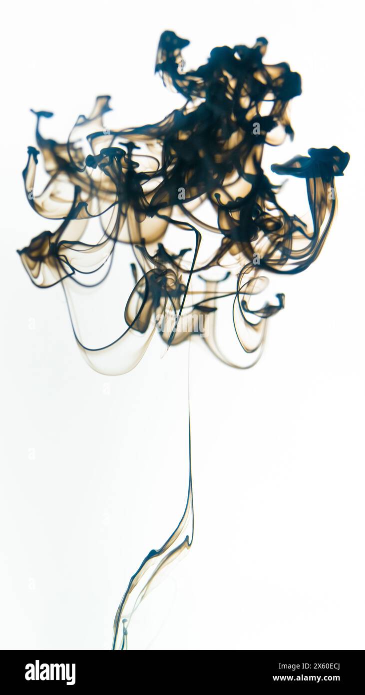 Black ink swirls forming delicate patterns as they diffuse elegantly ...